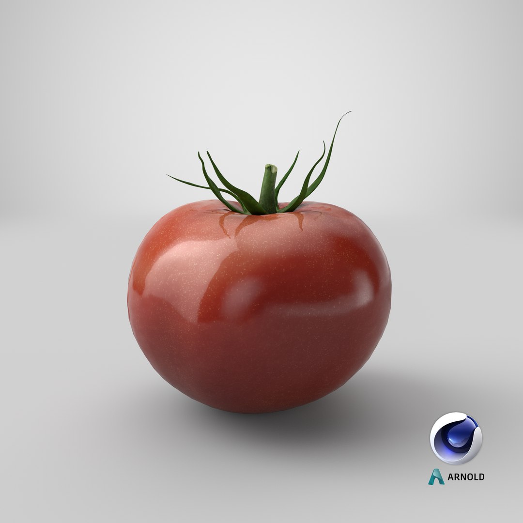 Tomato realistic model - TurboSquid 1171641