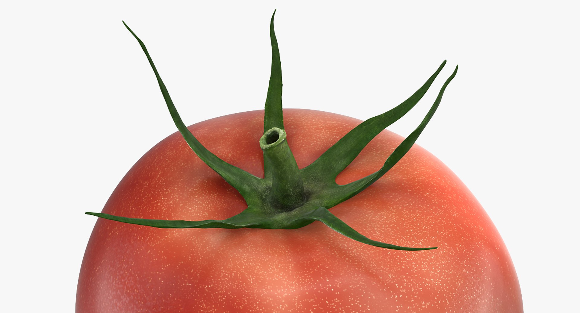 Tomato Realistic Model - TurboSquid 1171641