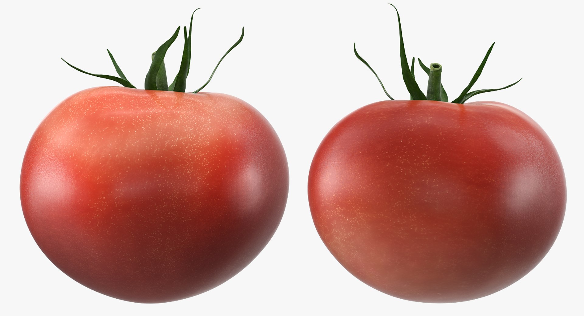 Tomato Realistic Model - TurboSquid 1171641
