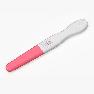 3D Pregnancy Test Models - Browse & Download Formats - TurboSquid