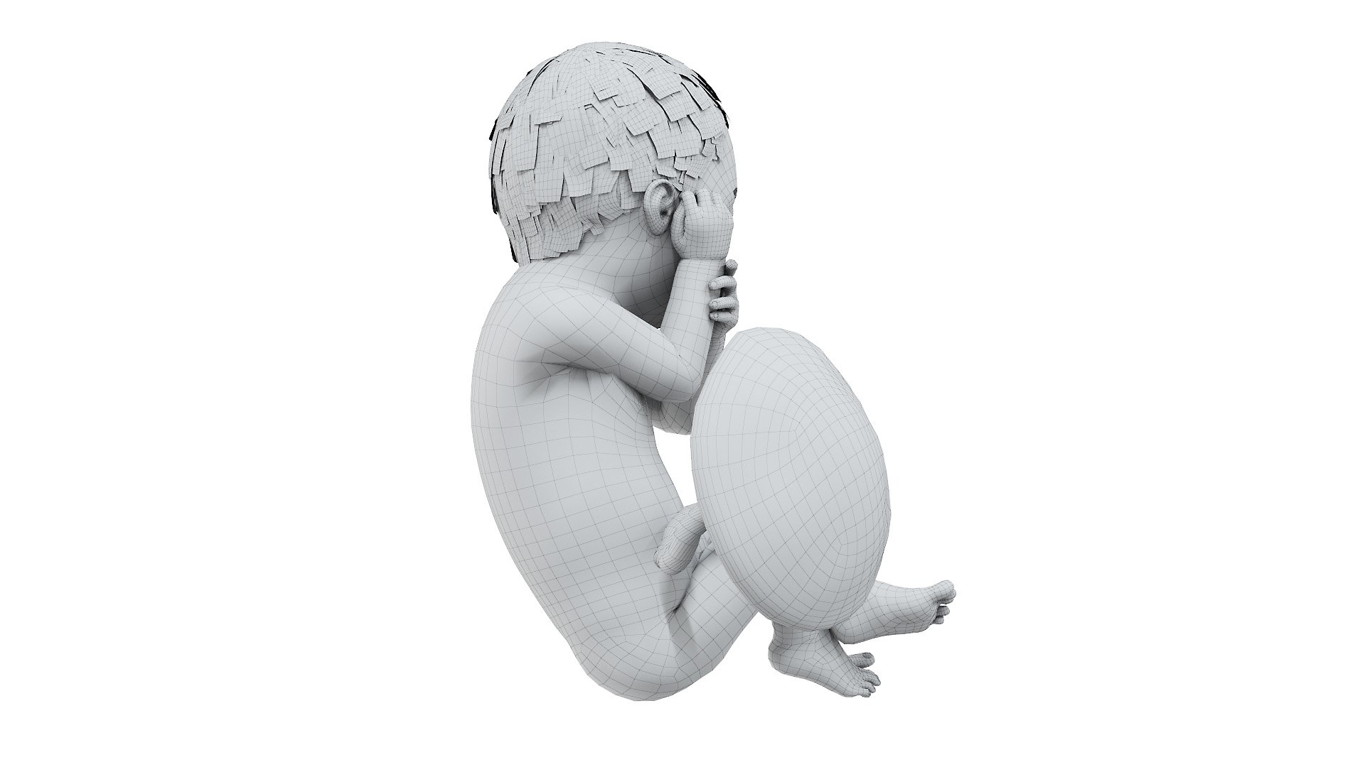 Fetus Anatomy Week 29 Animated 3D - TurboSquid 1804713