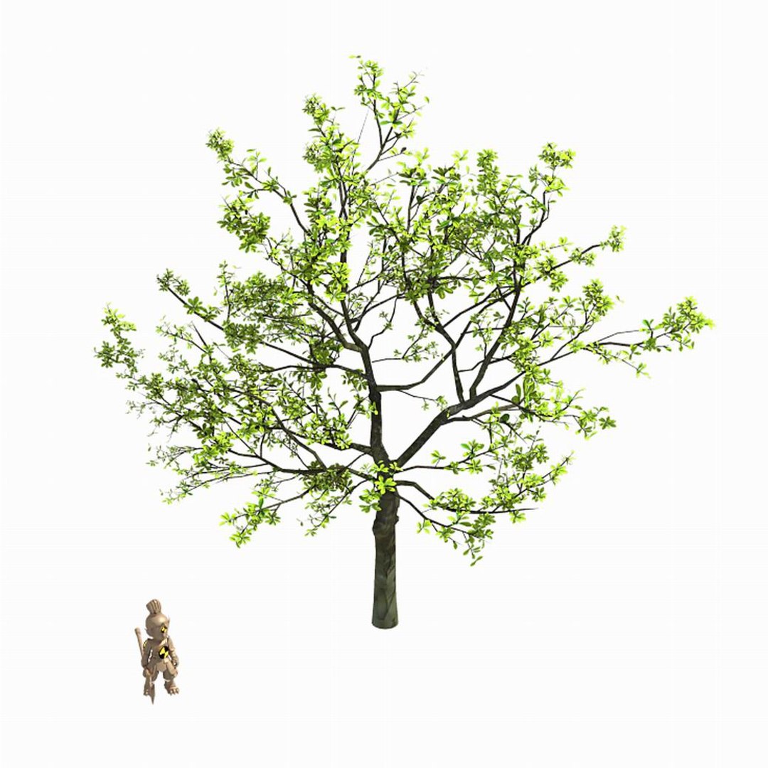 Plant - Green Tree Model - TurboSquid 1449752