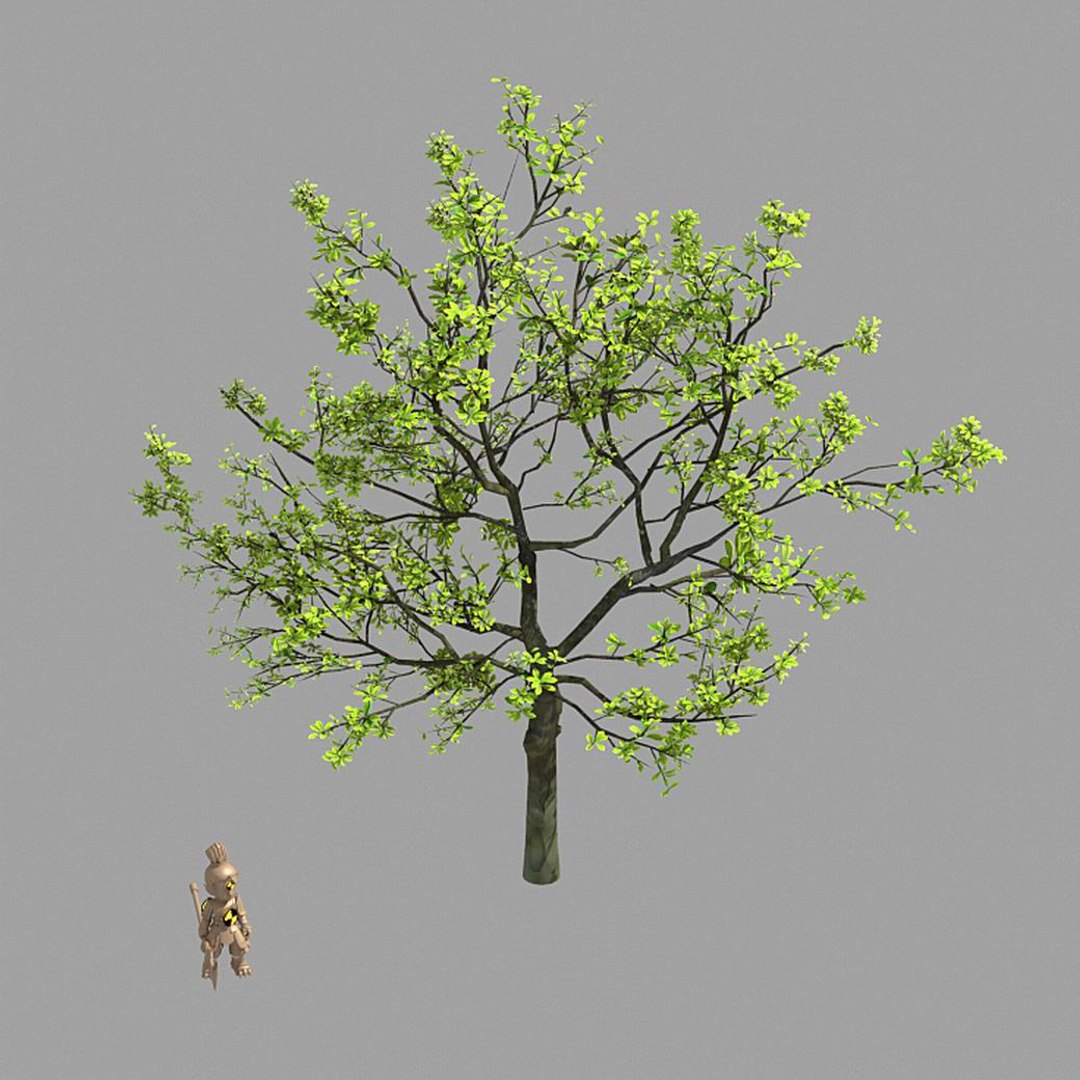 Plant - Green Tree Model - TurboSquid 1449752