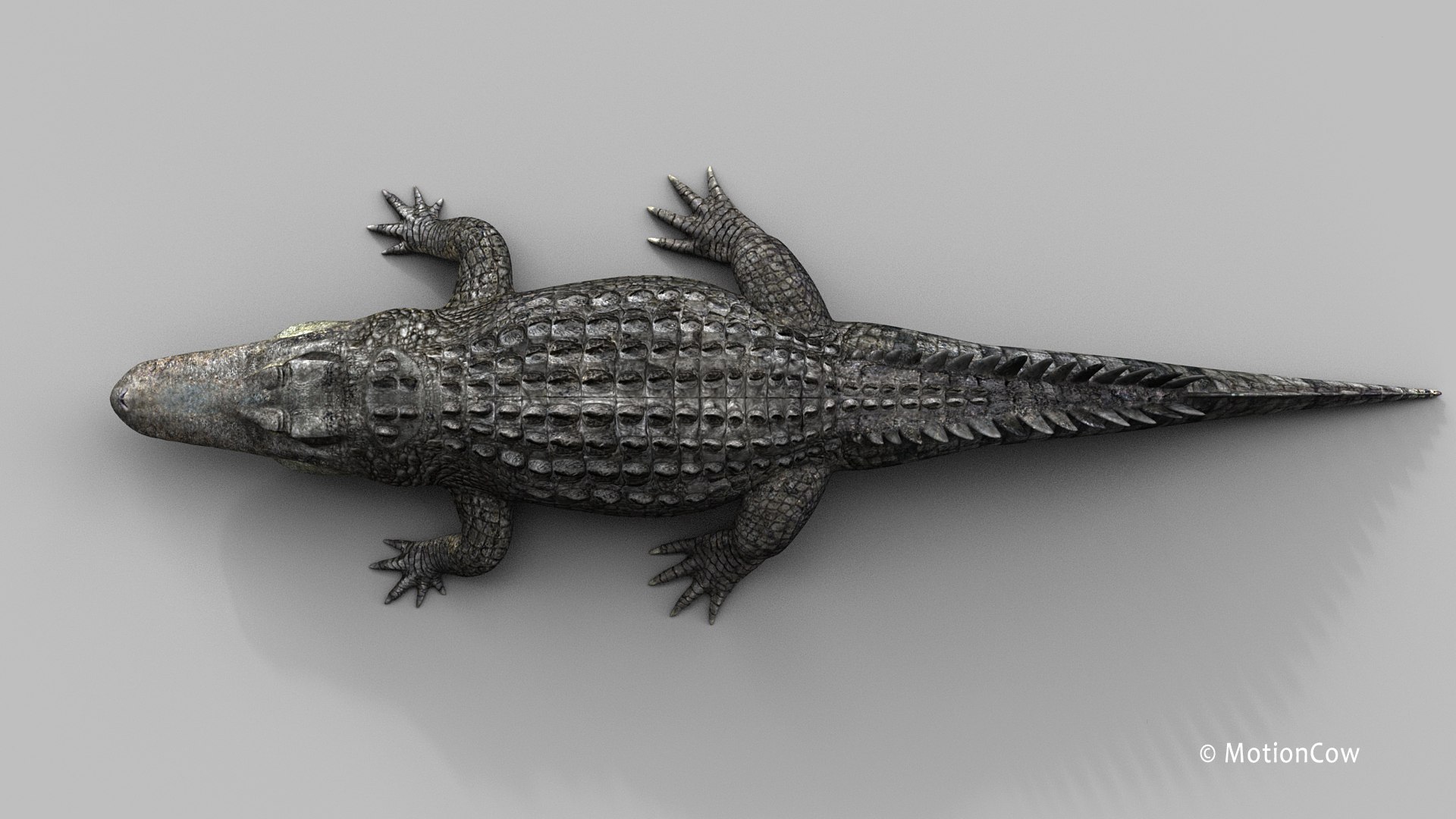 3D alligator animations model - TurboSquid 1450473