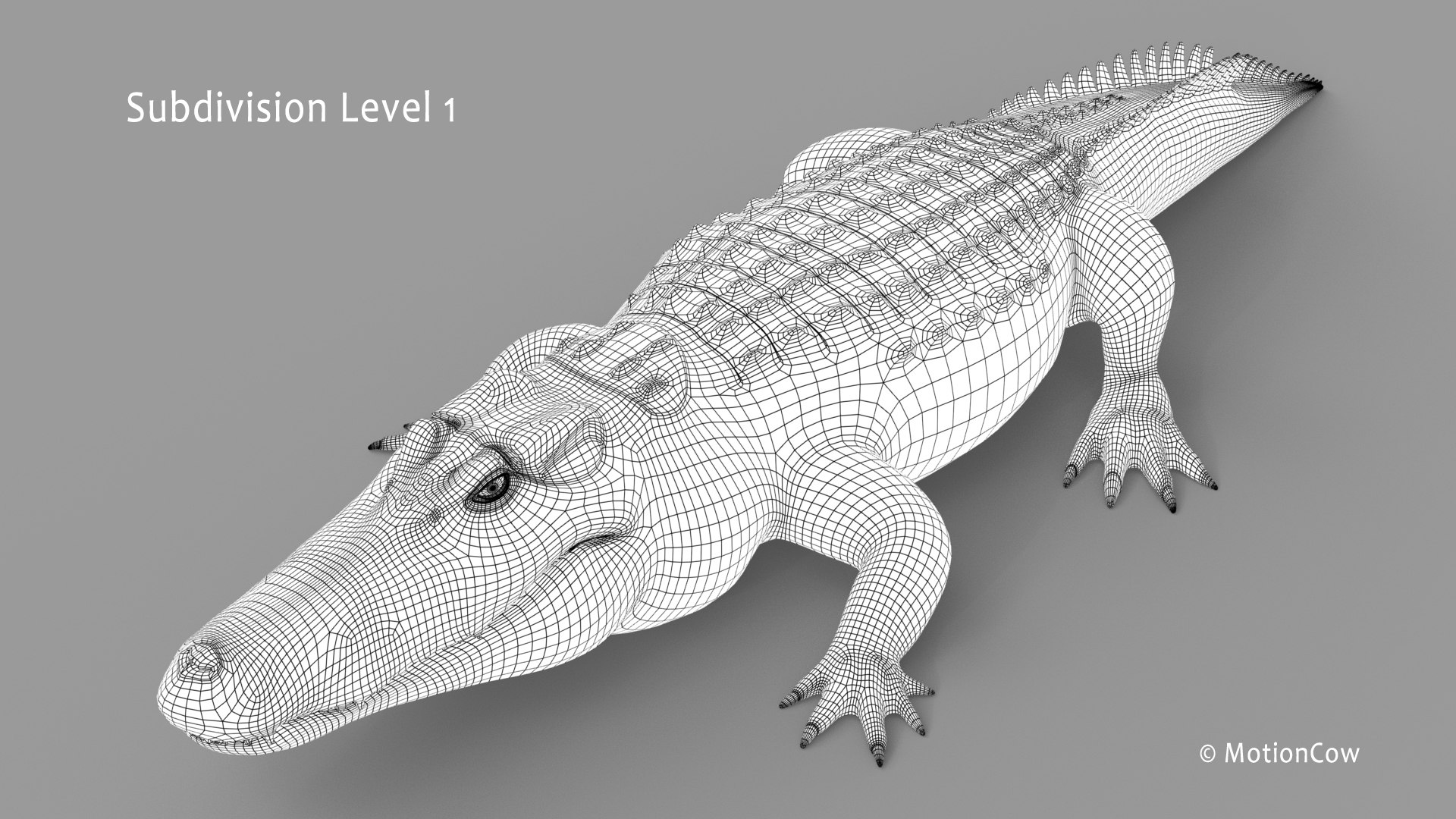 3D alligator animations model - TurboSquid 1450473