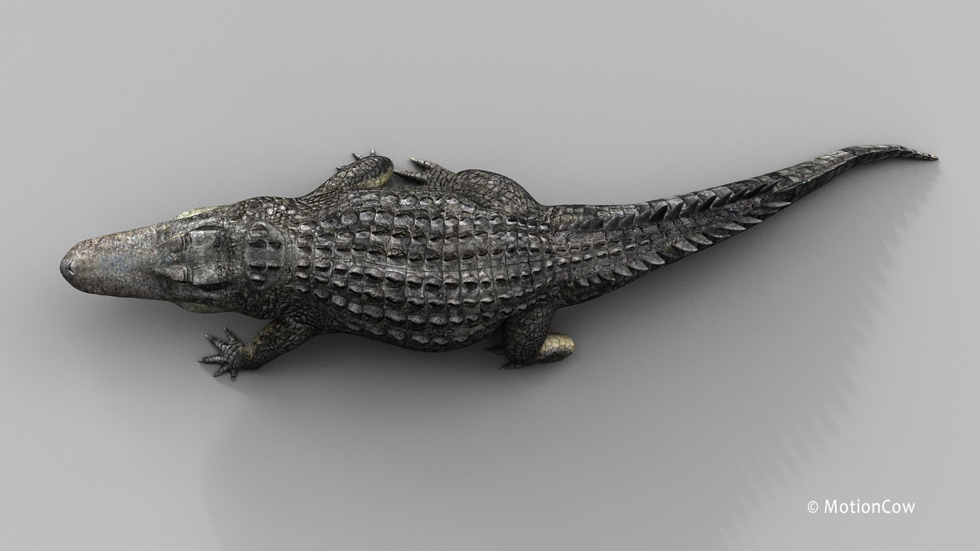 3D alligator animations model - TurboSquid 1450473
