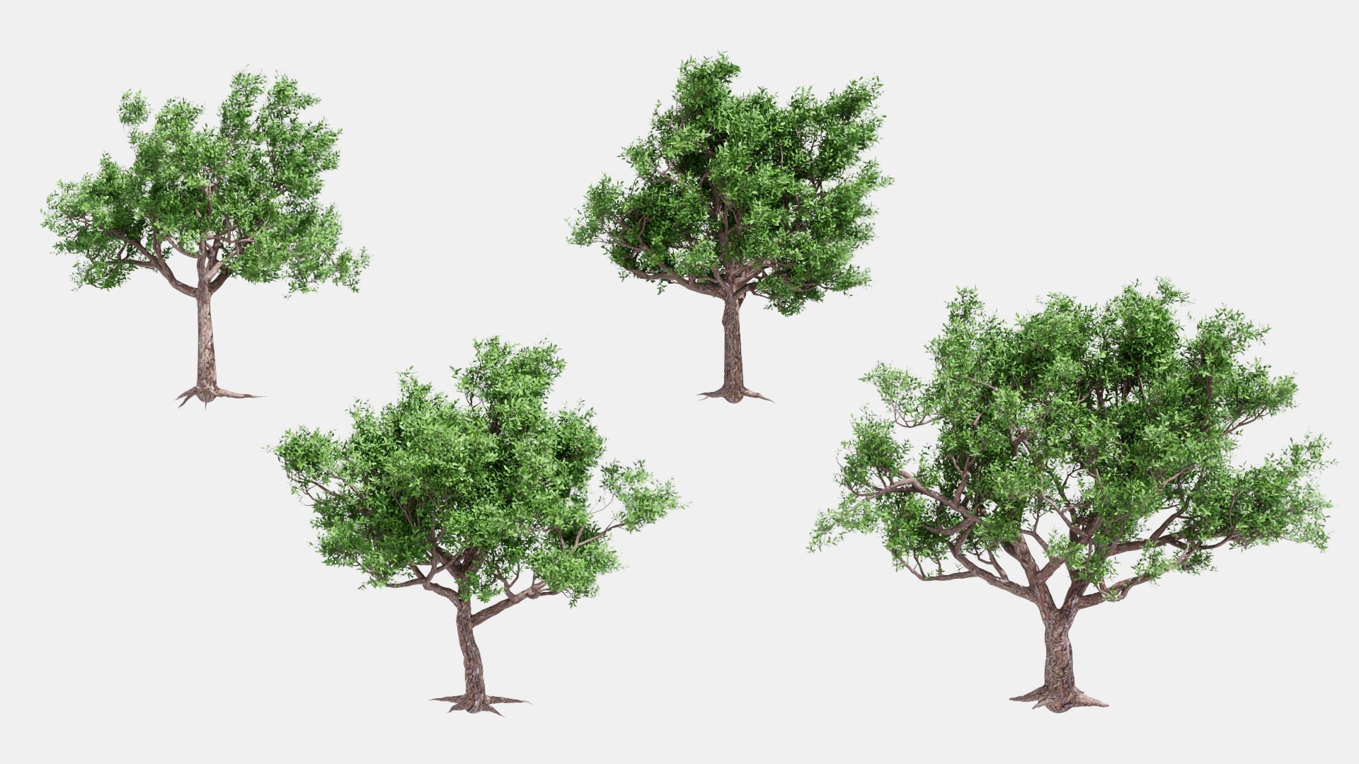 Model tree010 with looped wind animation model - TurboSquid 2095725