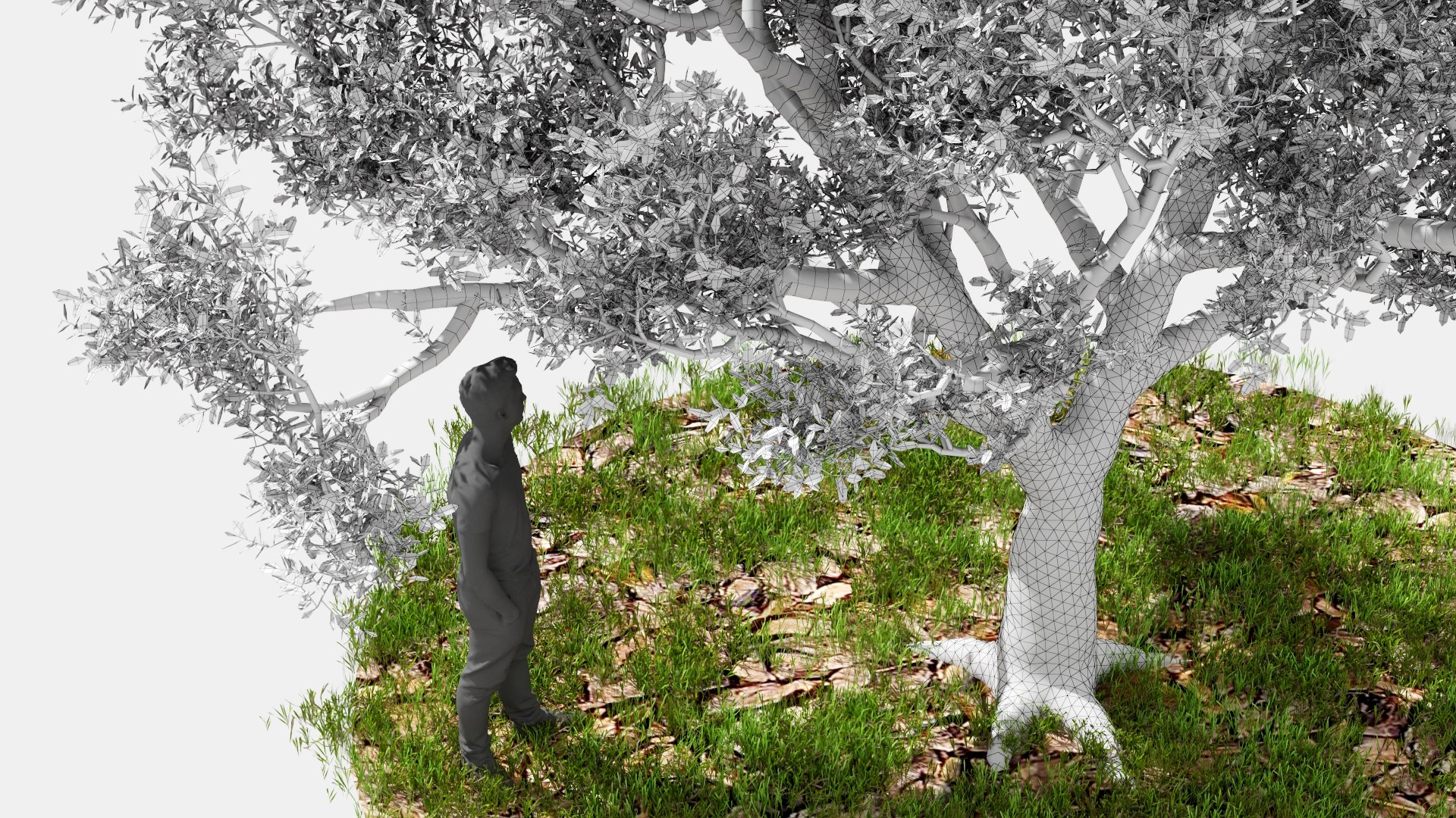 Model tree010 with looped wind animation model - TurboSquid 2095725