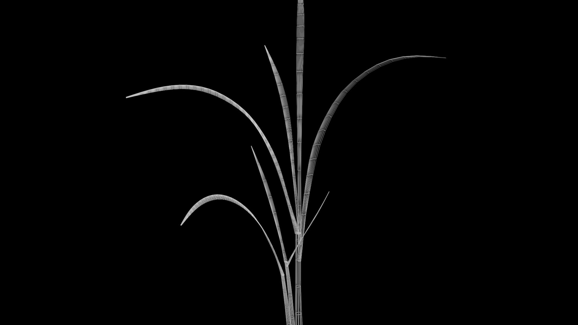 3D PADDY PLANT 9 FINAL TEXTURE MAX 2015 - TurboSquid 2089287