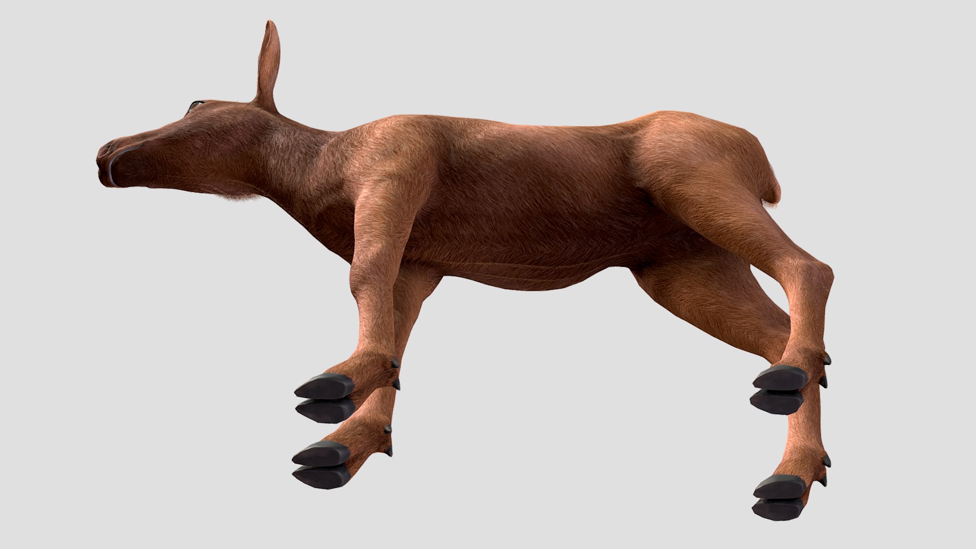 Moose - Calf 3D - TurboSquid 2139912