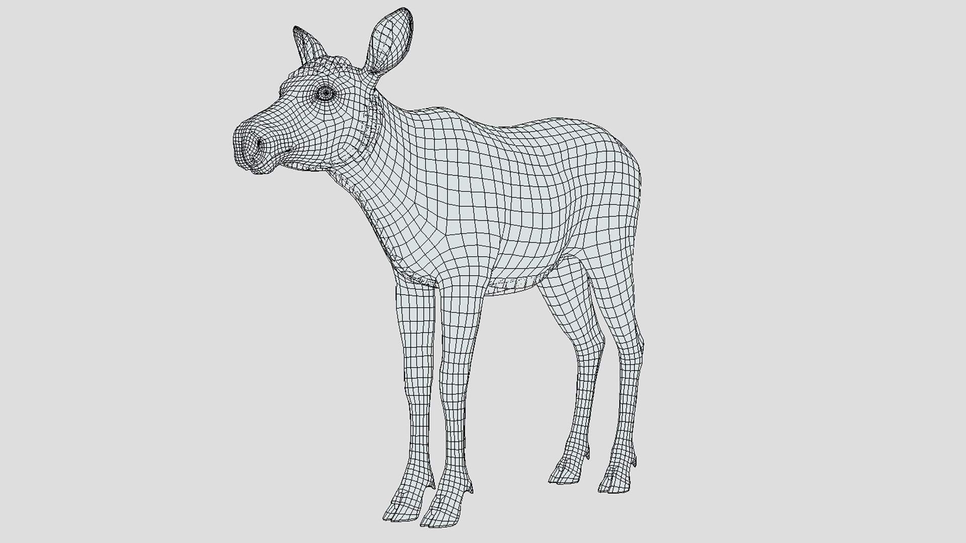 Moose - Calf 3D - TurboSquid 2139912