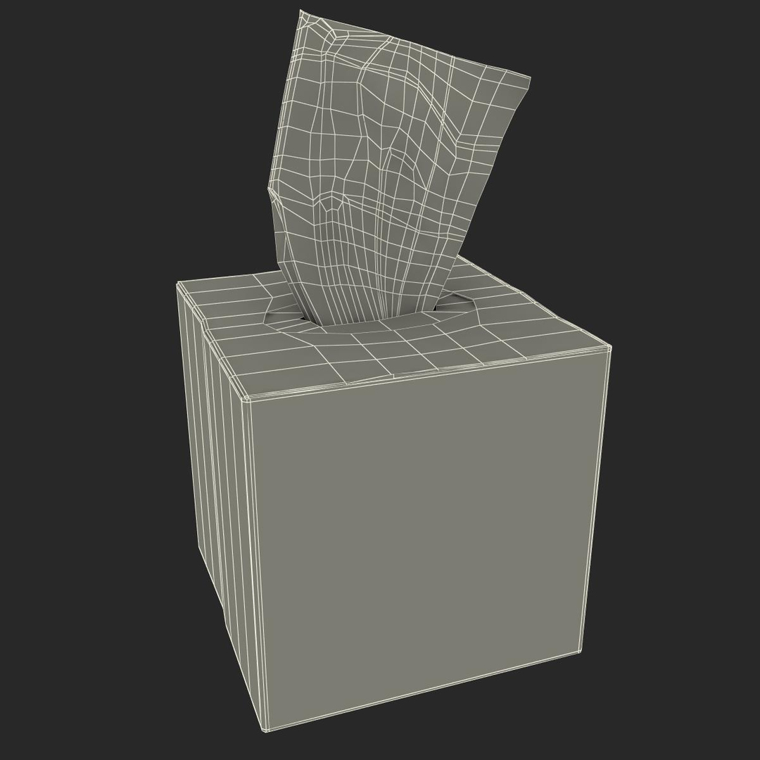 3d Tissue Box 2 Model