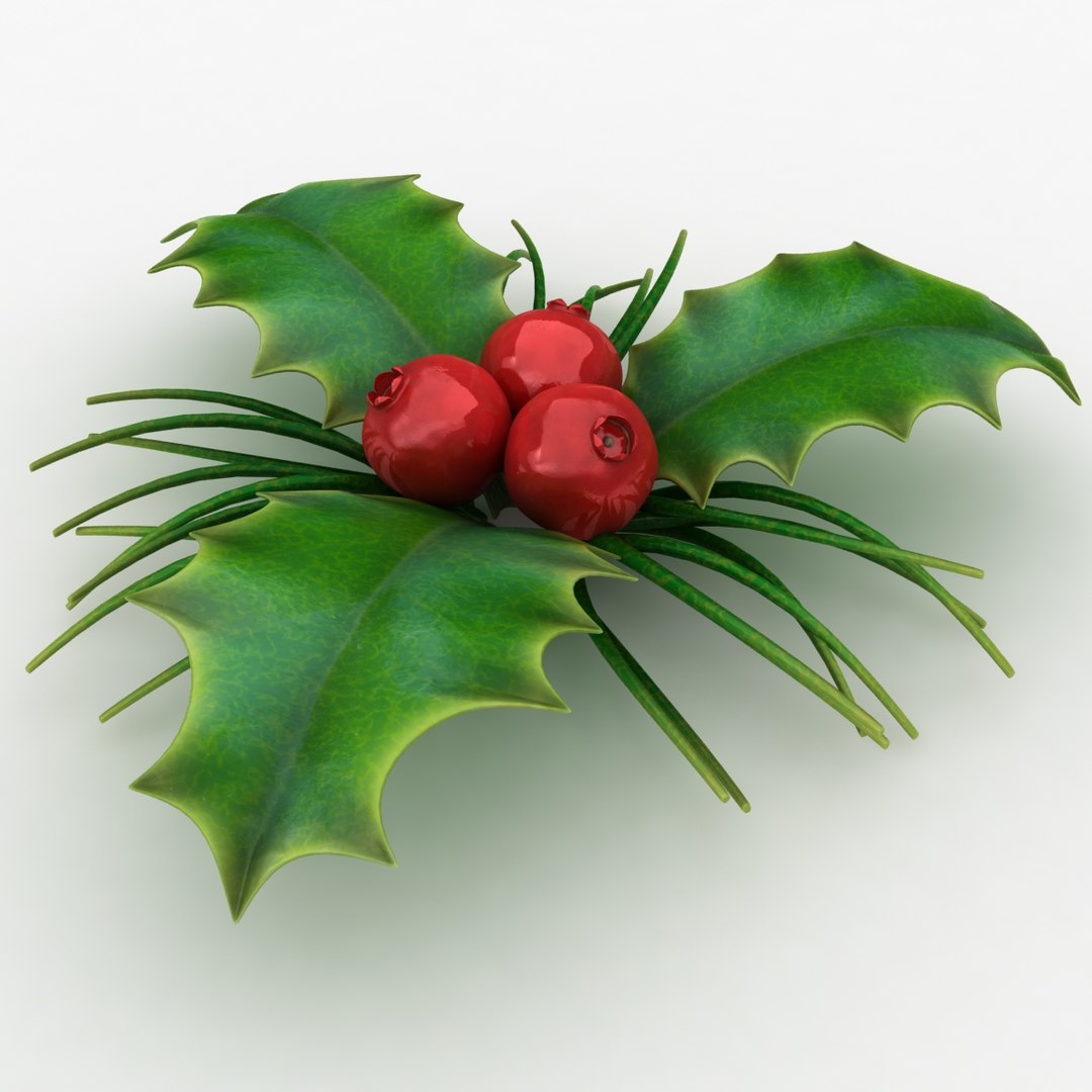 3D holly berry 2 - TurboSquid 1218001