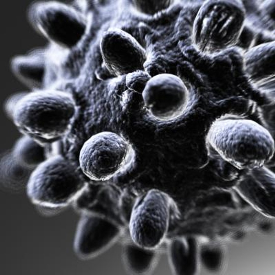 Hepatitis B Virus 3d Model