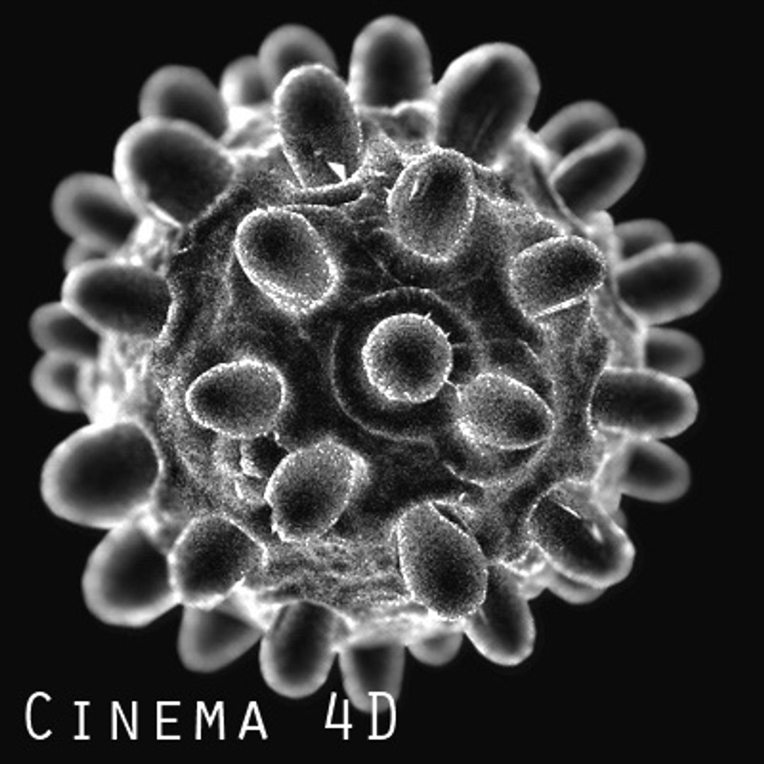 Hepatitis B Virus 3d Model