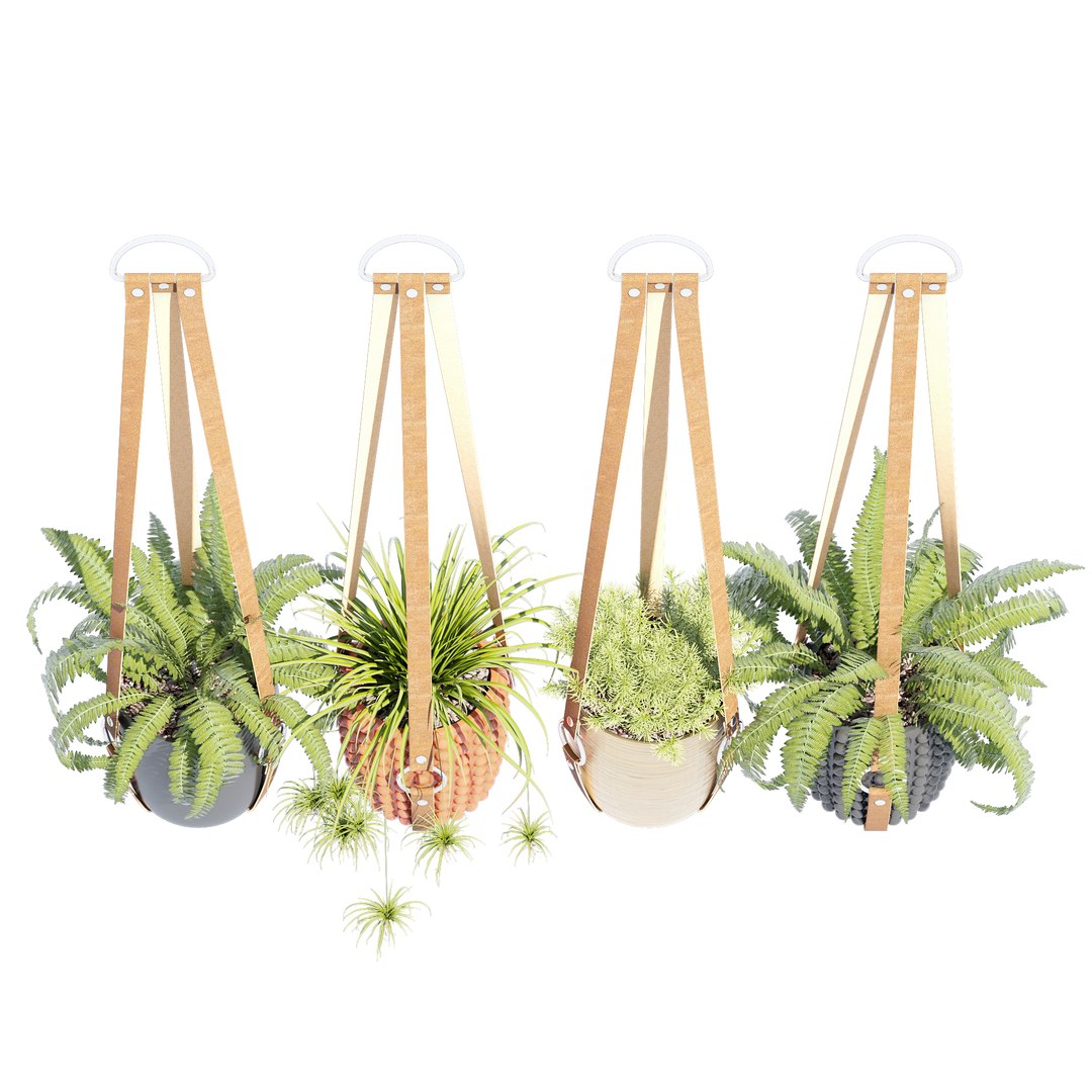 3D Hangee Model - TurboSquid 2200884