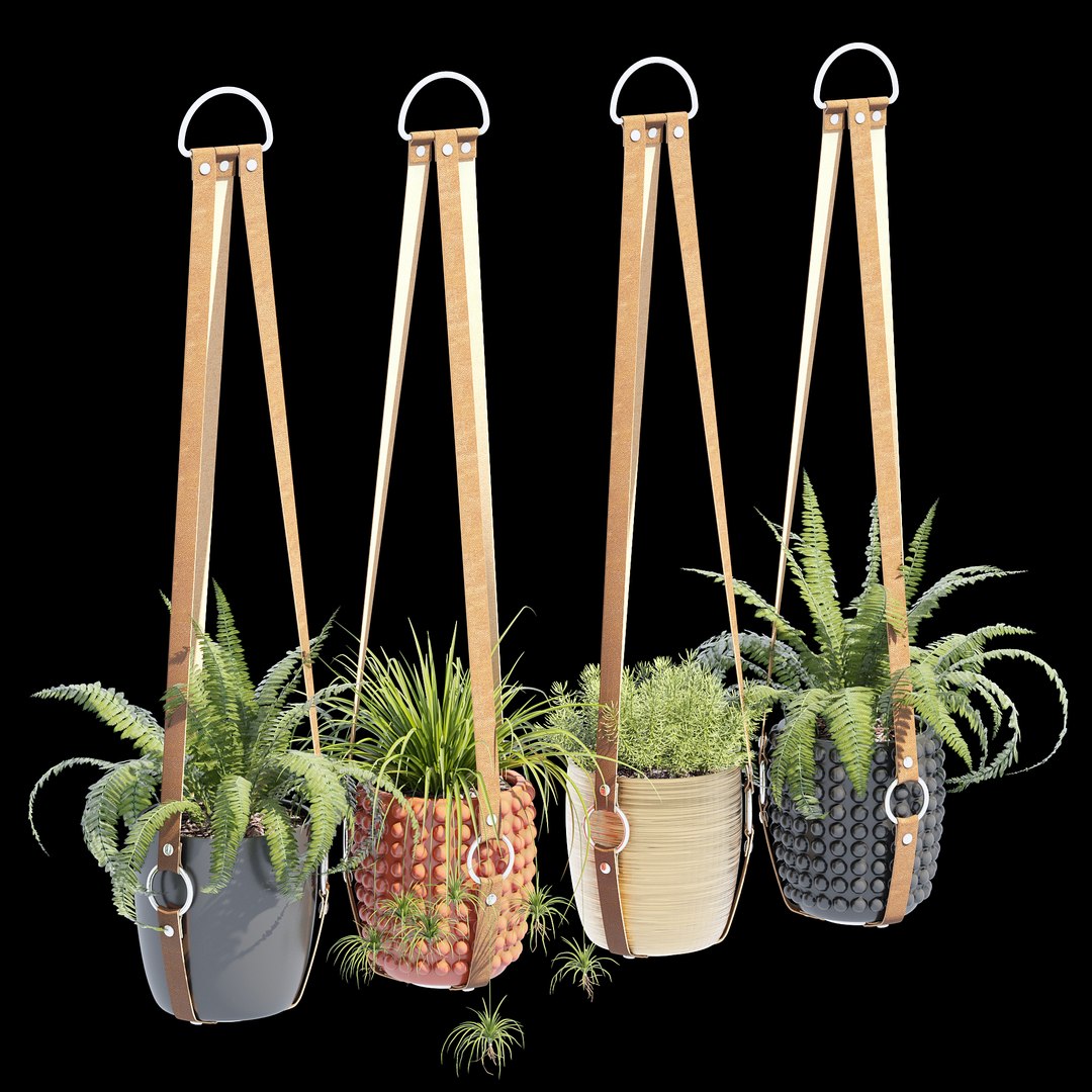 3D Hangee Model - TurboSquid 2200884