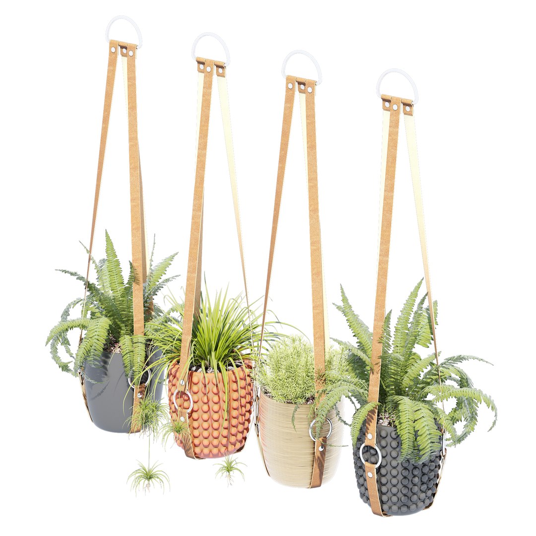 3D Hangee Model - TurboSquid 2200884