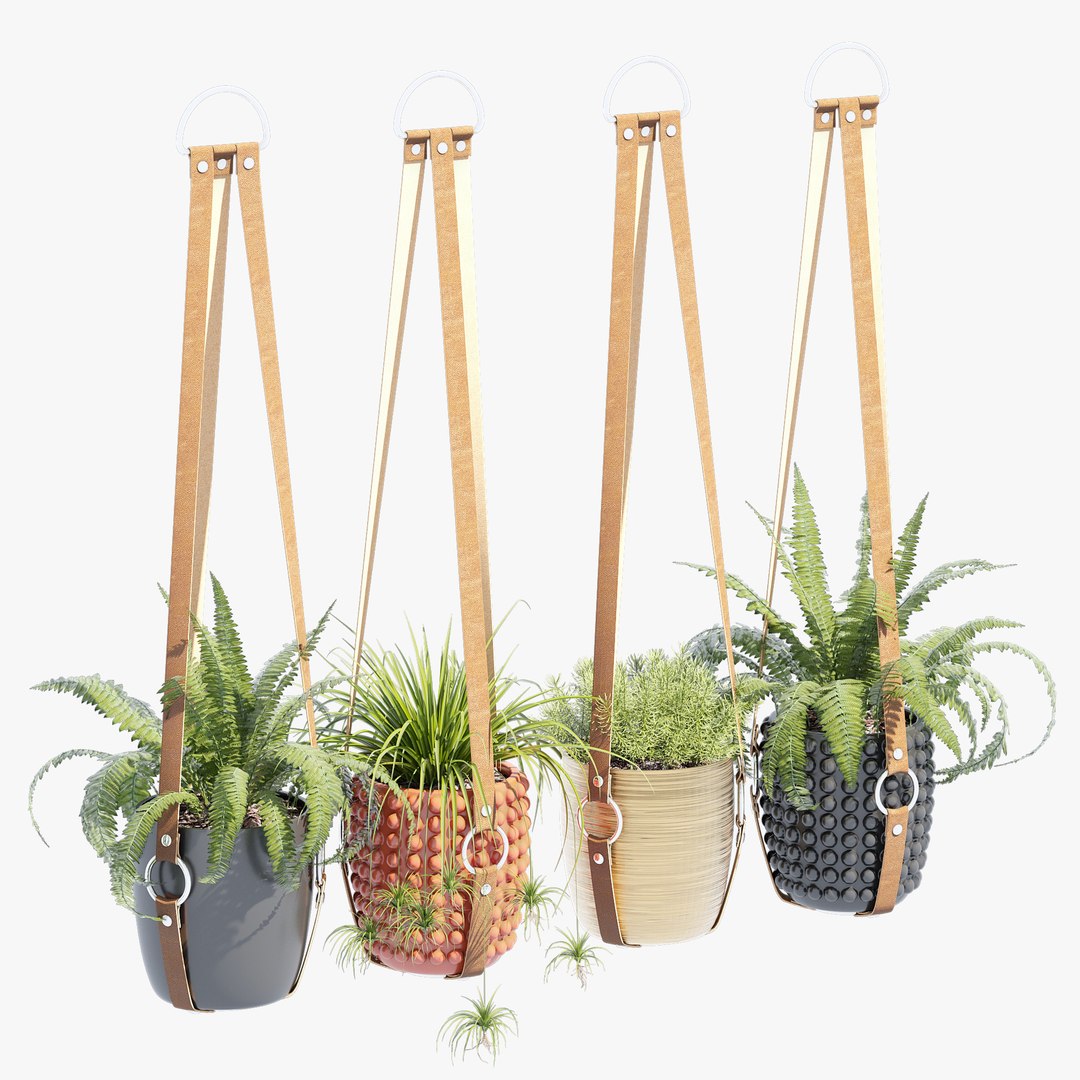 3D Hangee Model - TurboSquid 2200884