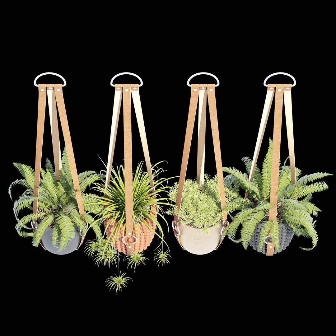 3D Hangee Model - TurboSquid 2200884