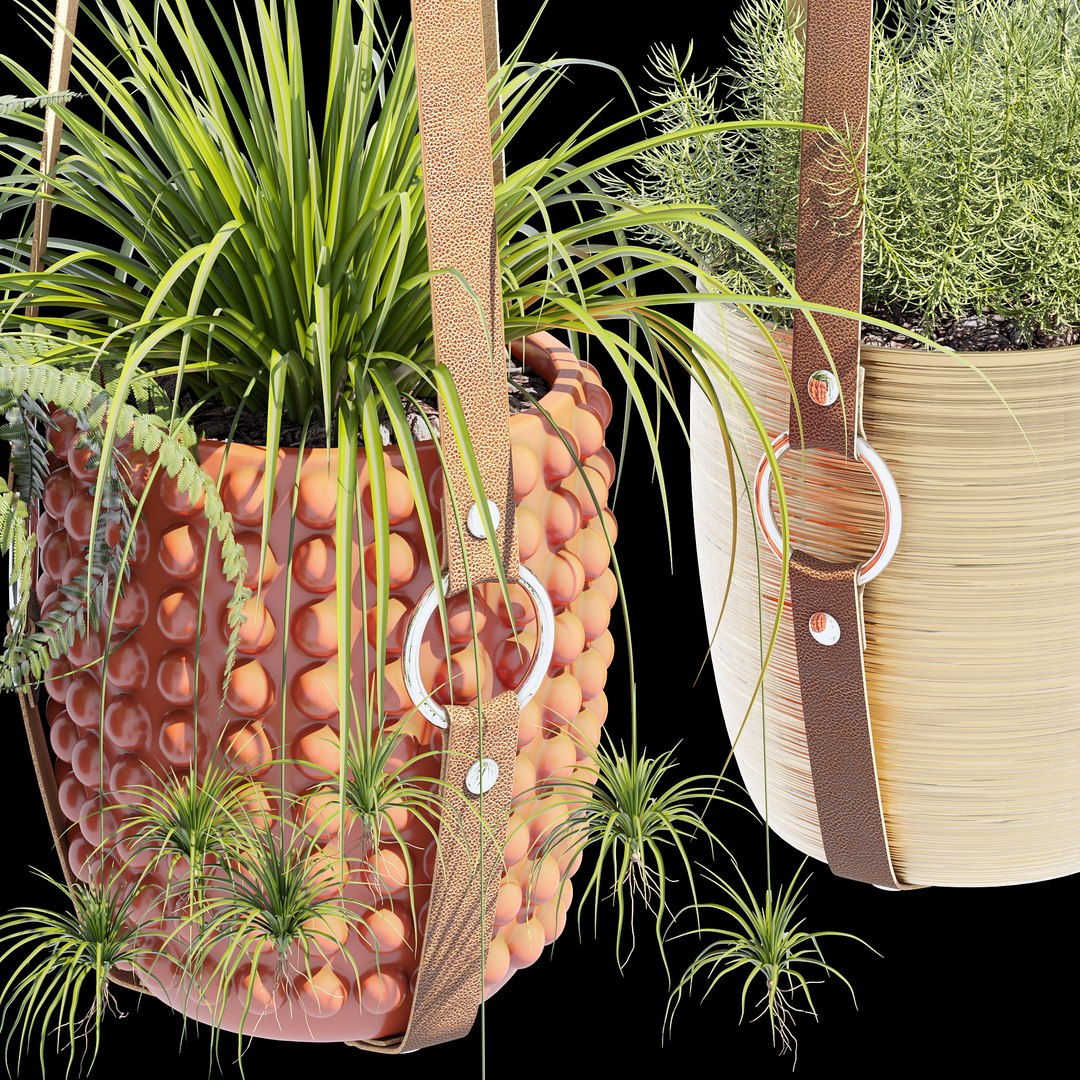 3D Hangee Model - TurboSquid 2200884