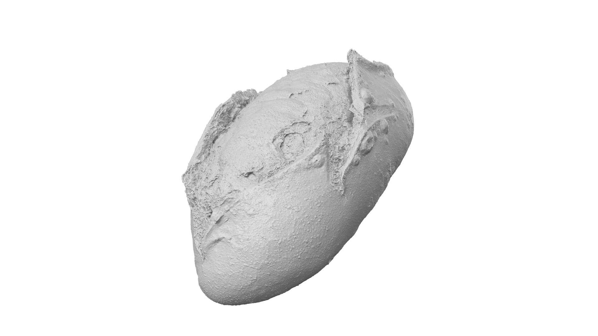 3D model Crusty Italian Bread - Extreme Definition 3D Scanned ...