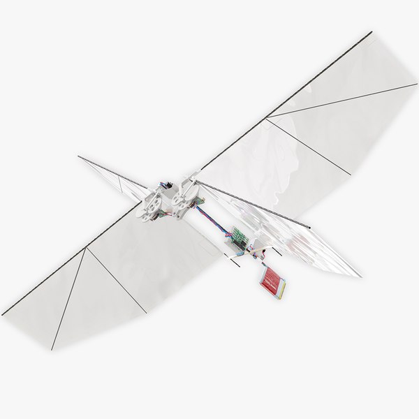 DelFly 민첩한 비행 로봇 3D 모델 - TurboSquid 1773942