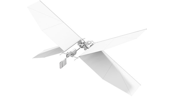 DelFly Nimble Flying Robot 3D model - TurboSquid 1773942