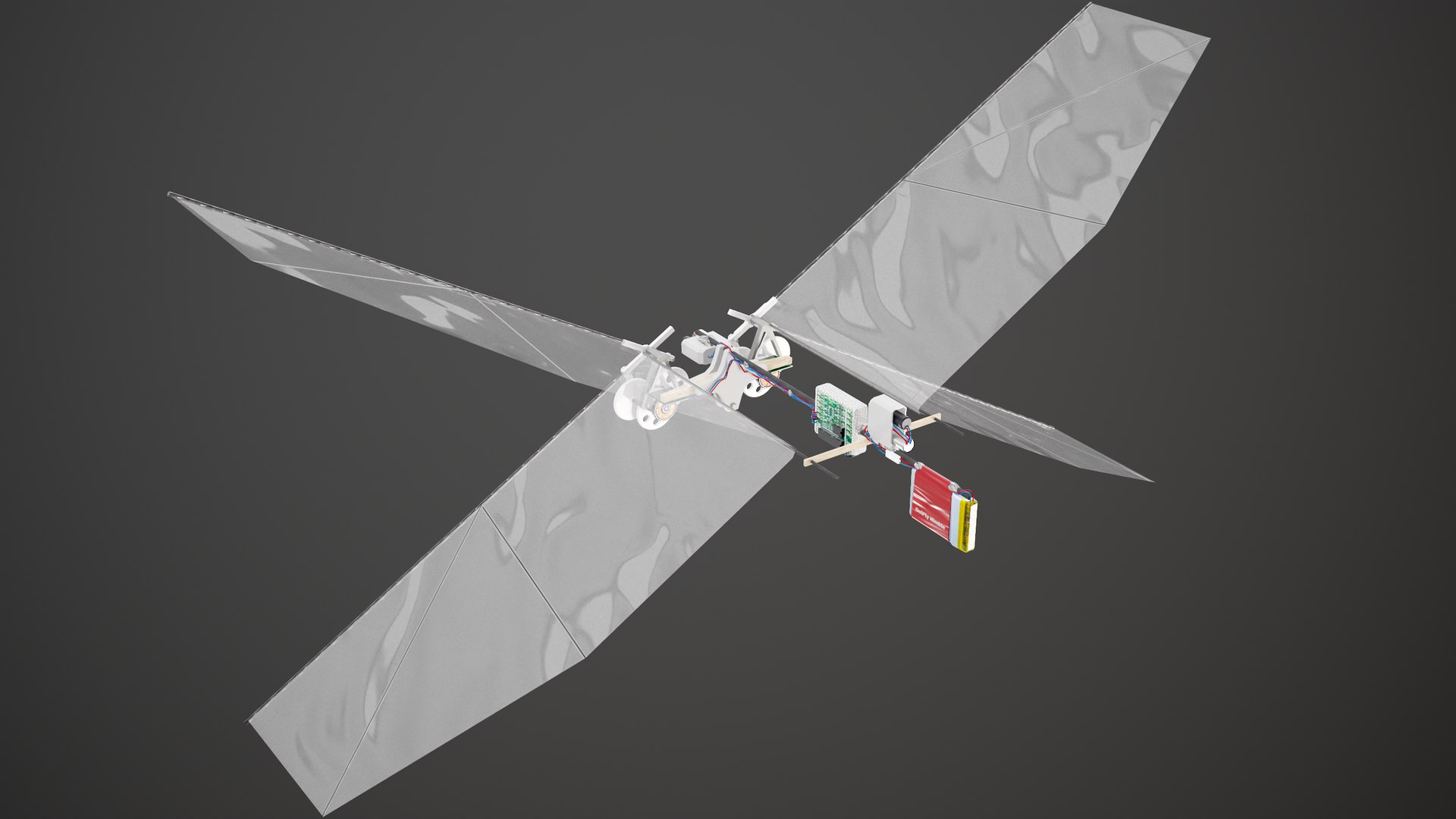 DelFly Nimble Flying Robot 3D Model - TurboSquid 1773942