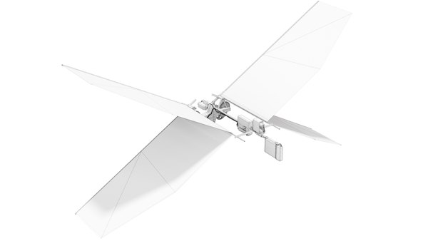 DelFly Nimble Flying Robot 3D model - TurboSquid 1773942