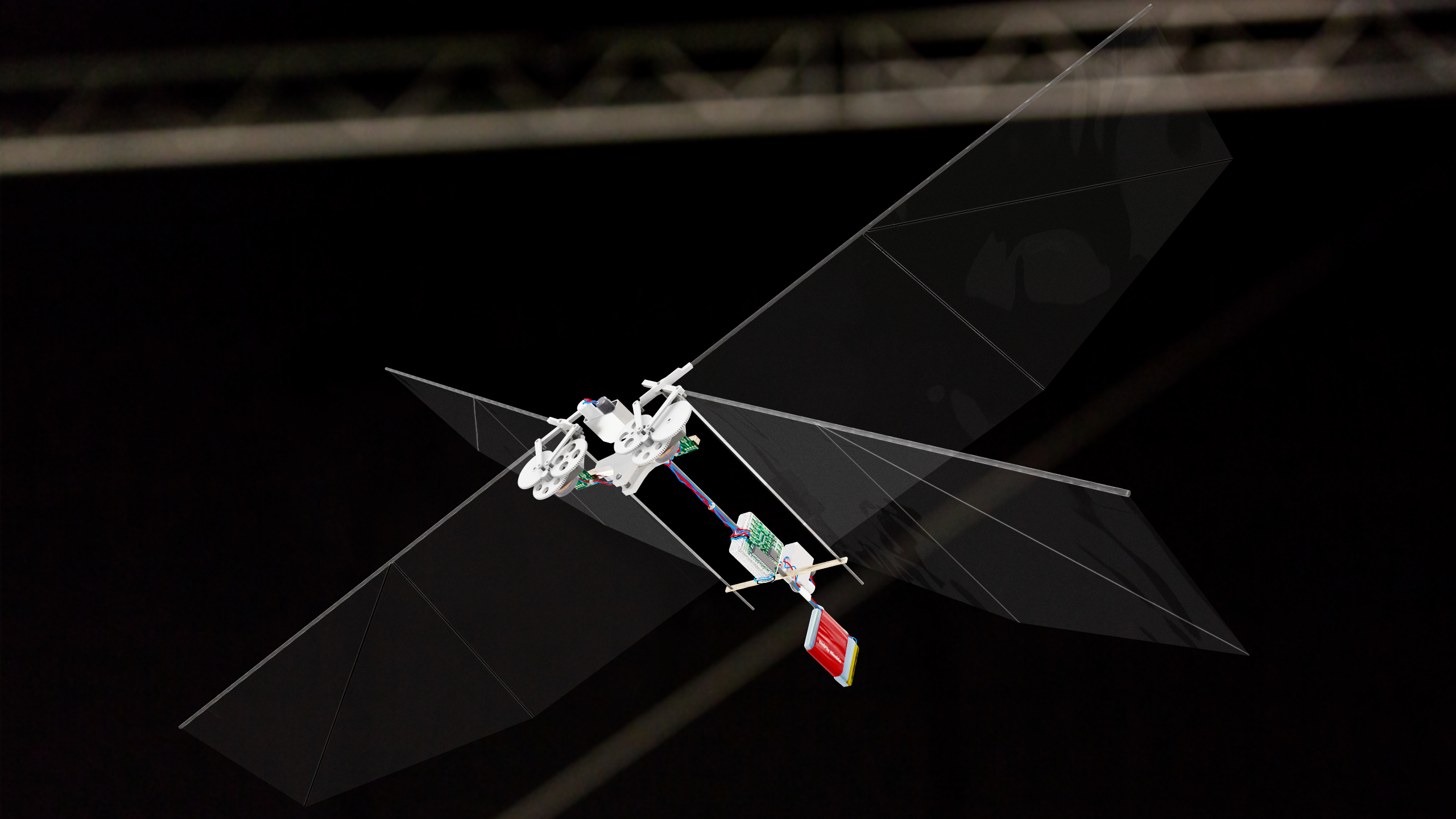 DelFly Nimble Flying Robot 3D model - TurboSquid 1773942