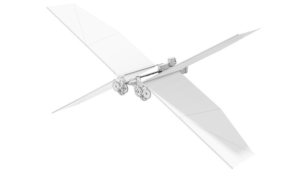 DelFly Nimble Flying Robot 3D model - TurboSquid 1773942