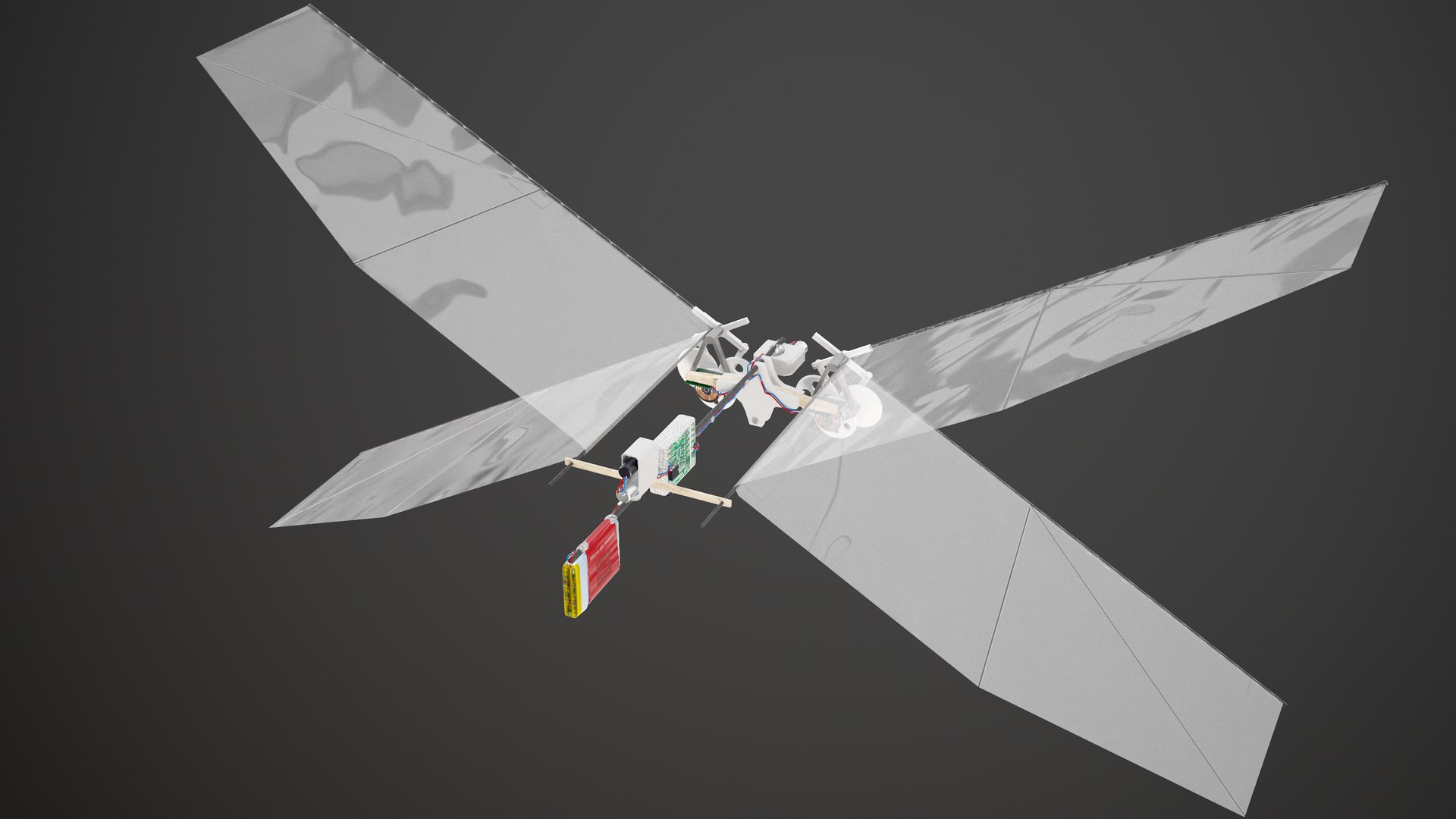 DelFly Nimble Flying Robot 3D Model - TurboSquid 1773942