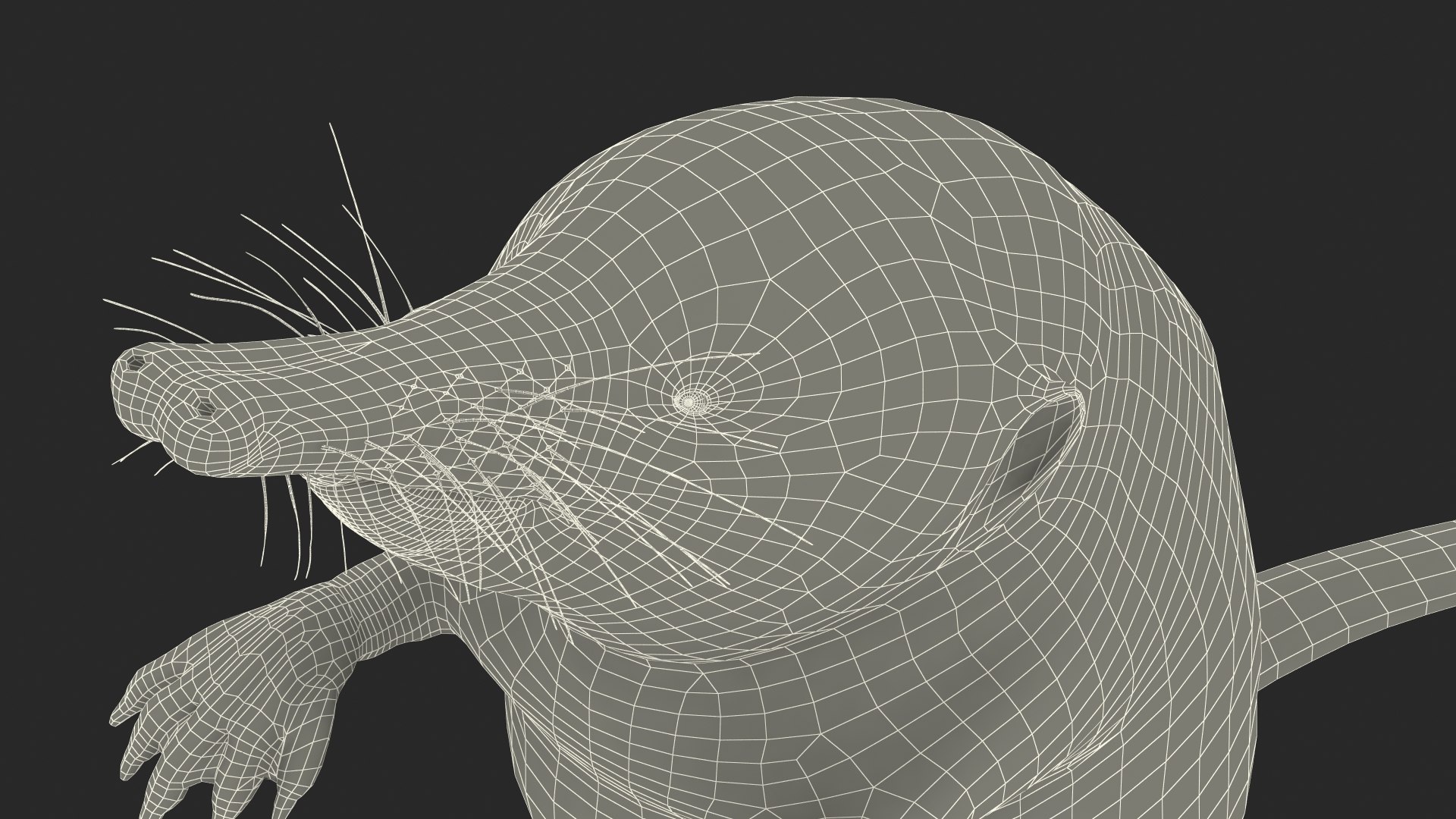 Standing Desman 3D - TurboSquid 2193871