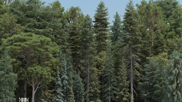Free 3D Pine-Trees Models | TurboSquid