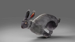 Rabbit Blender Models for Download | TurboSquid