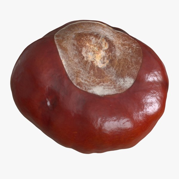 Chestnut 3D Models for Download | TurboSquid