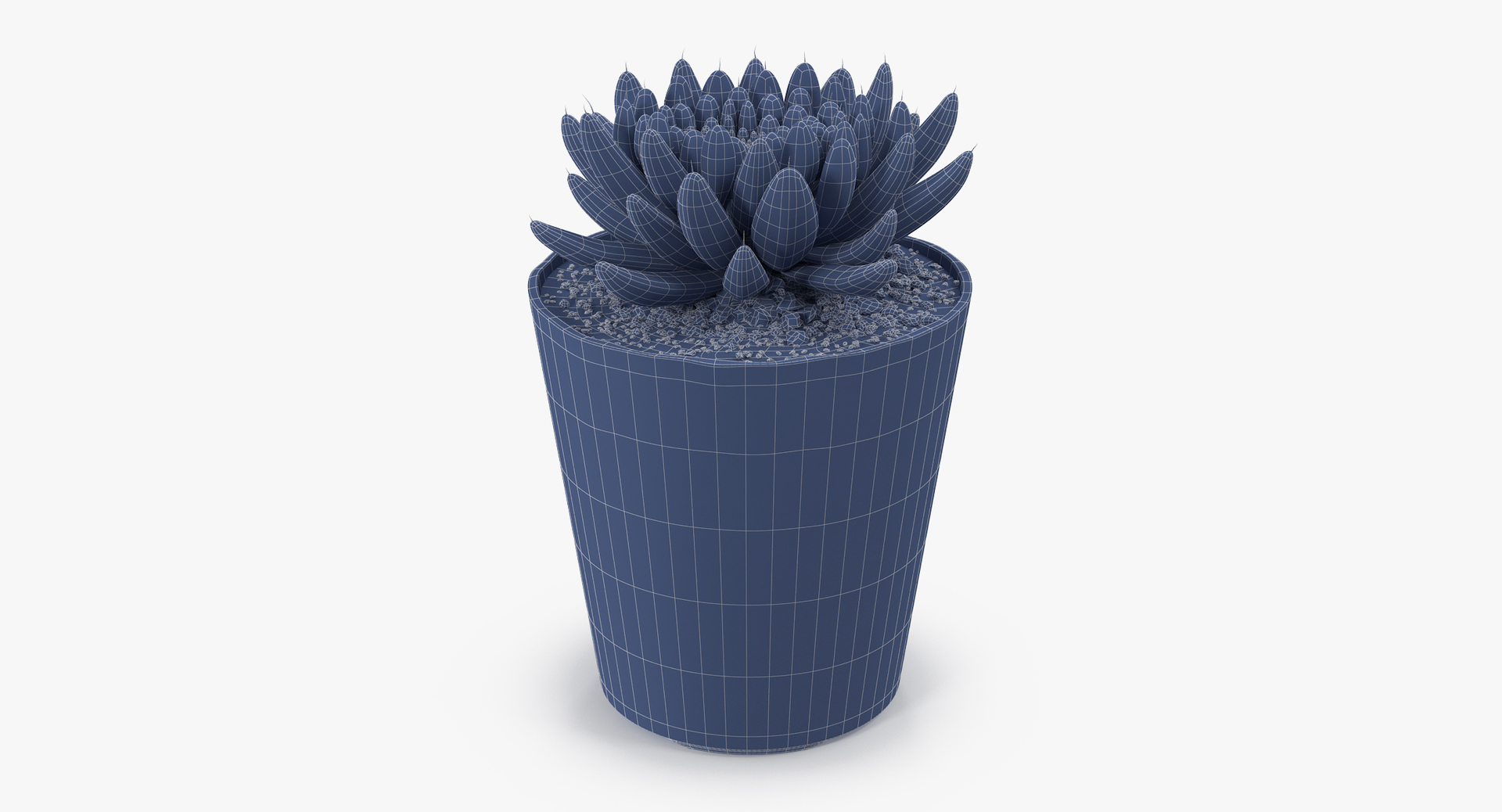 3d succulent 21