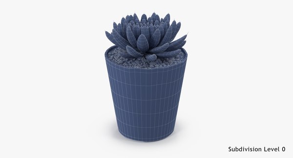 3d succulent 21