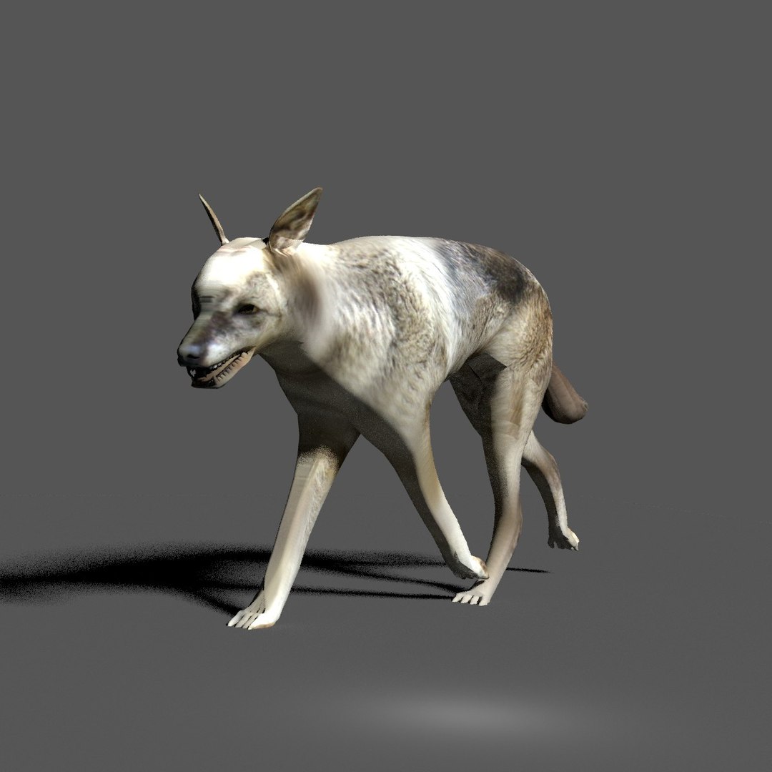 3d Model Of Wolf