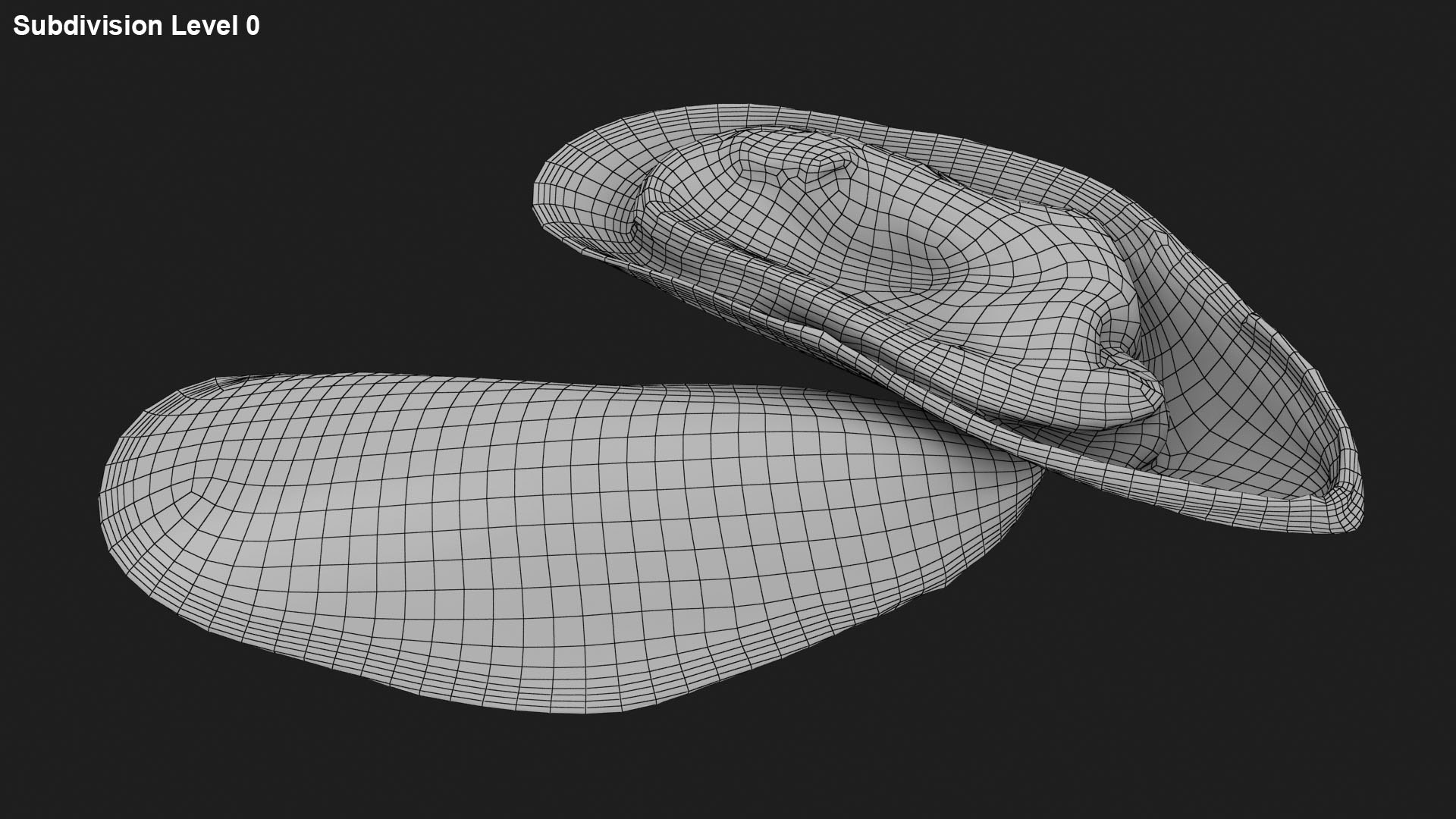 3D Green Mussel Collection - TurboSquid 2173169