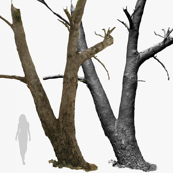 Spooky Tree 3D Models for Download | TurboSquid