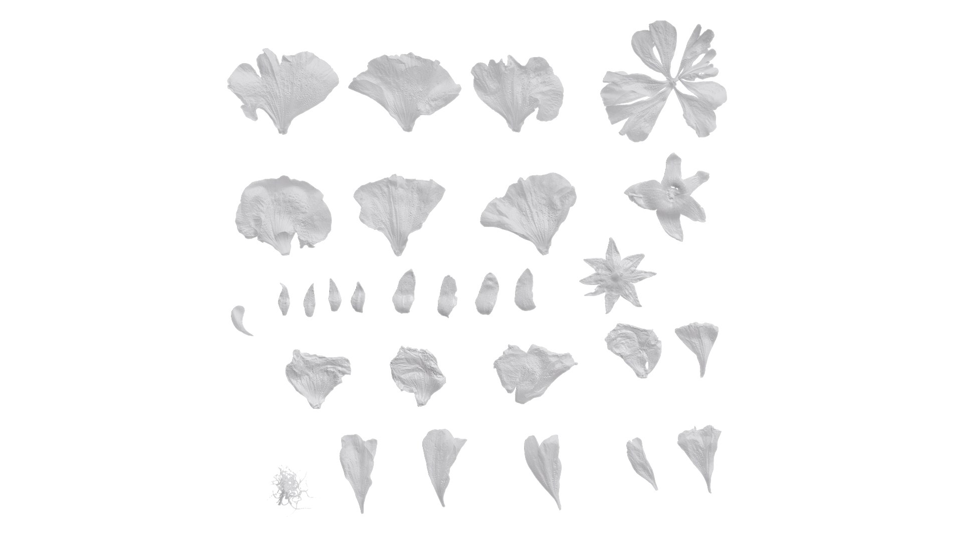 3D Anydrafts Alcea Rosea Flower 10 Textures - TurboSquid 2351959