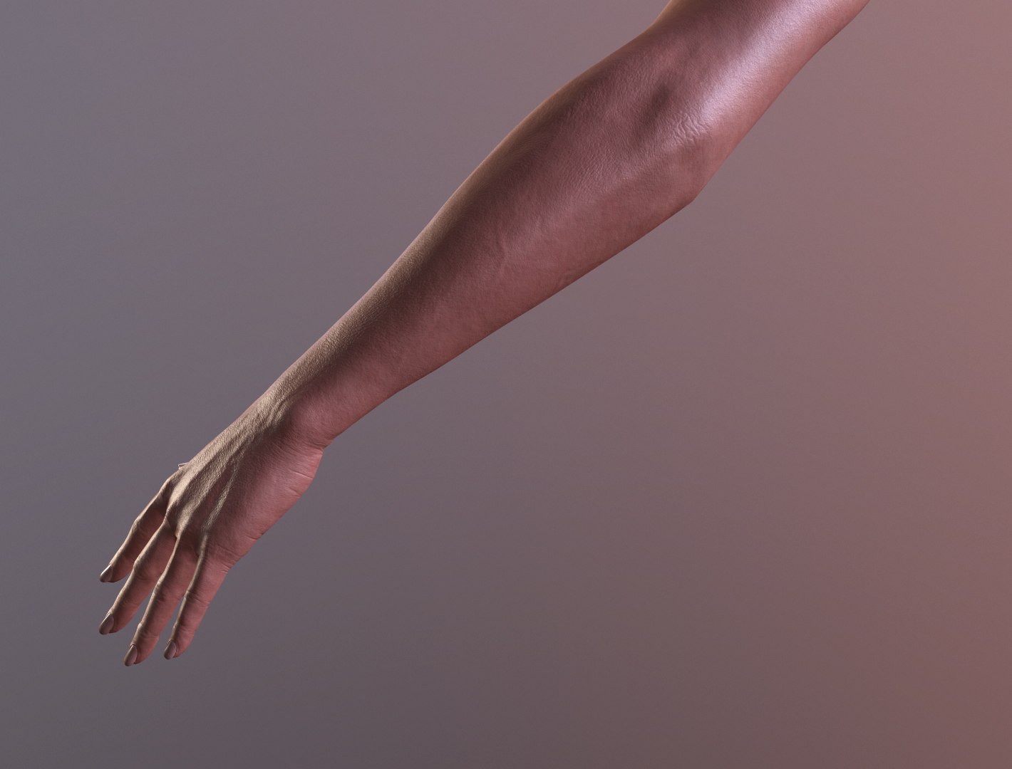 3D Female Hand Pbr Model - TurboSquid 1462887