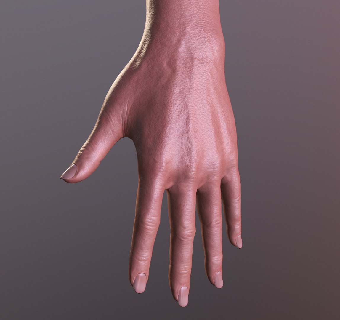 3D Female Hand Pbr Model - TurboSquid 1462887