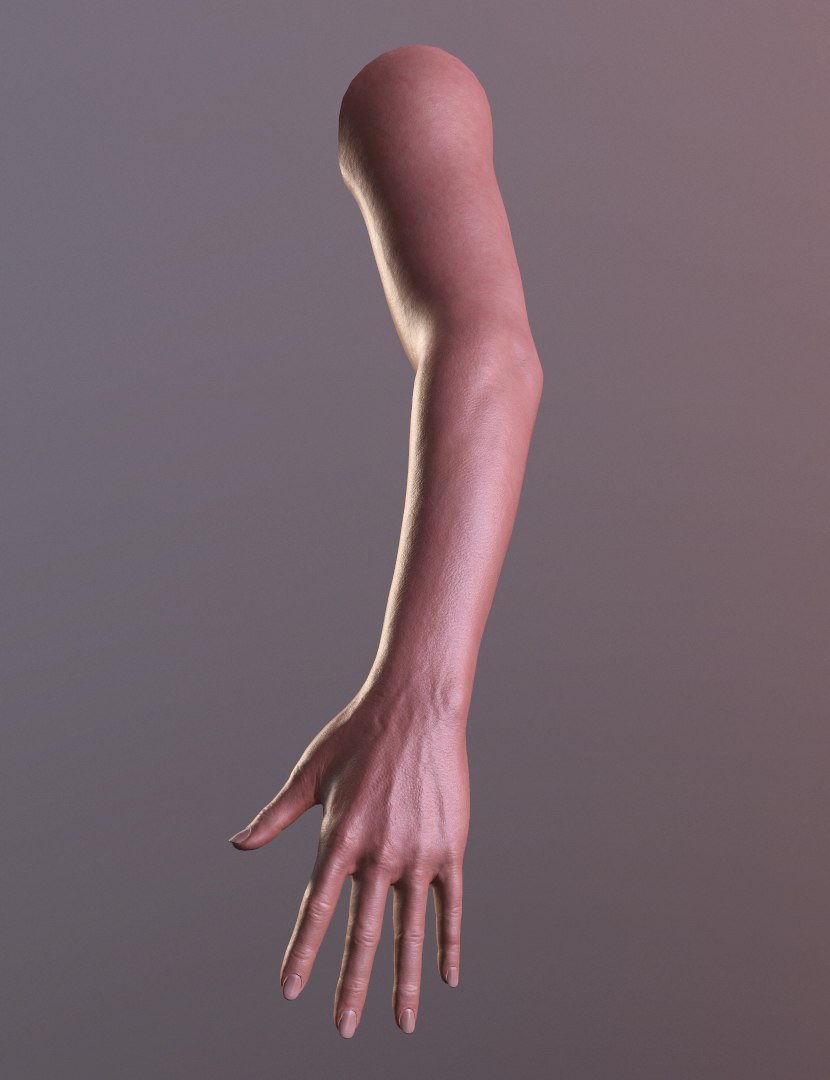 3D Female Hand Pbr Model - TurboSquid 1462887