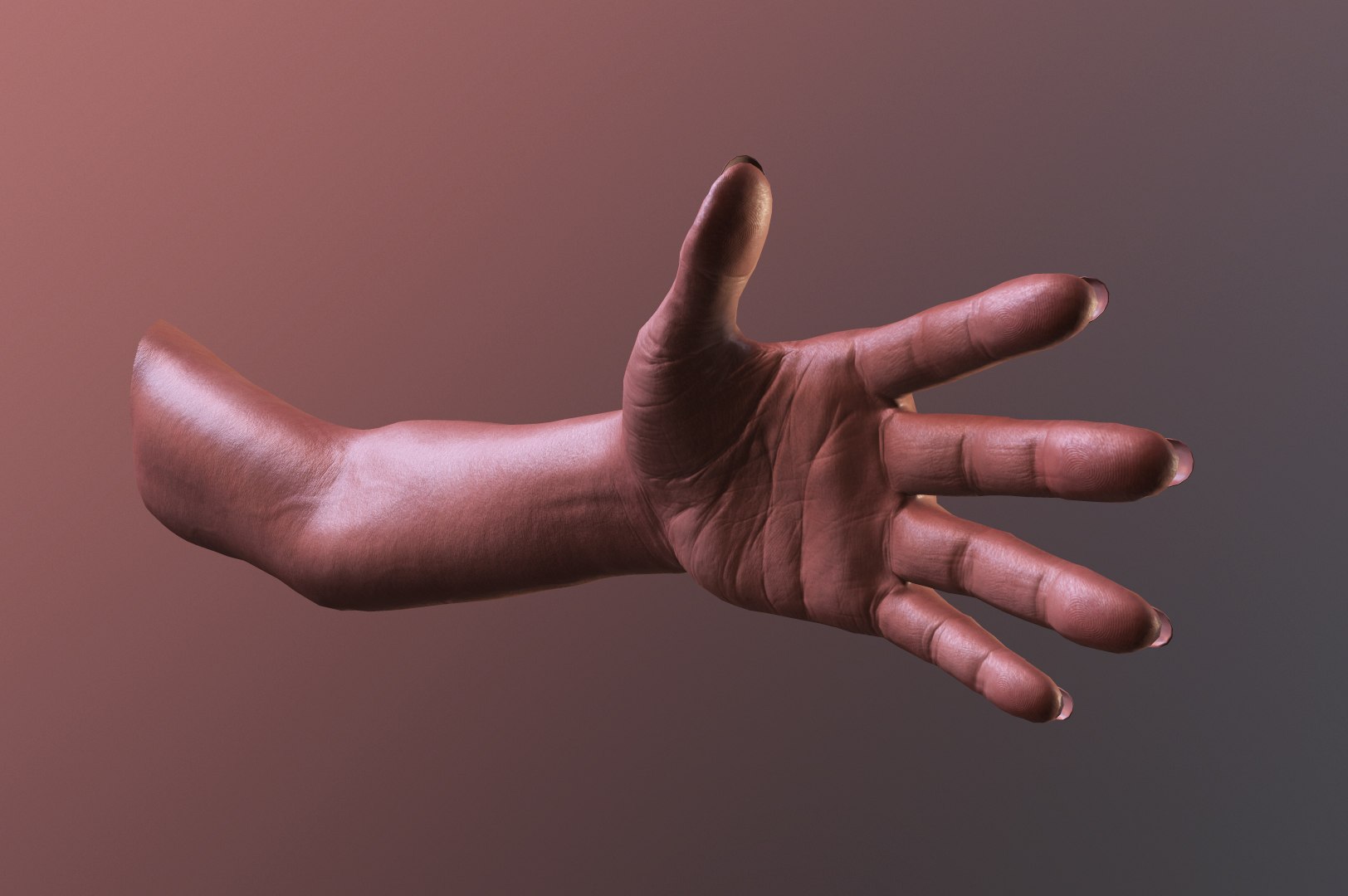 3D Female Hand Pbr Model - TurboSquid 1462887