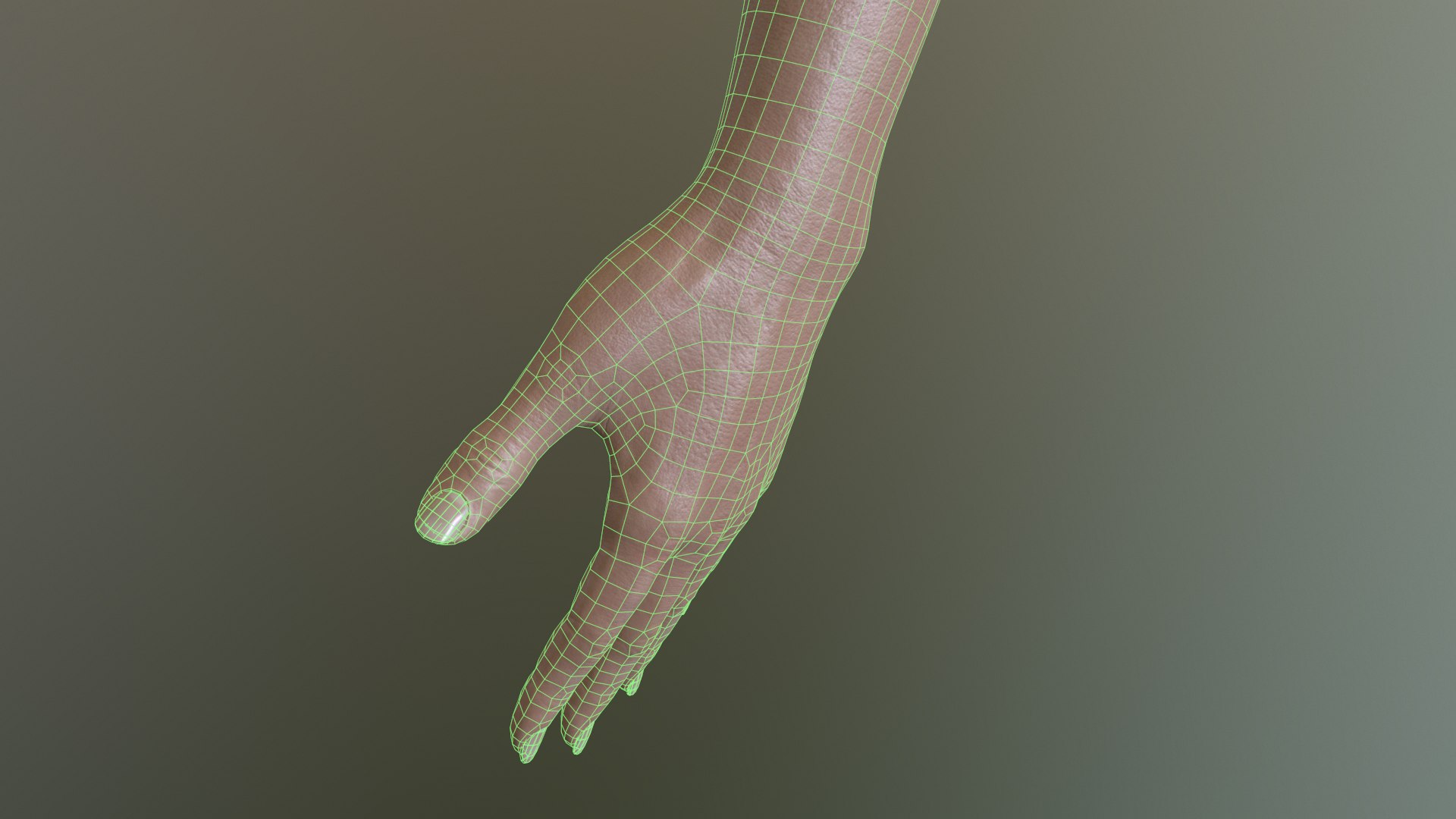 3D Female Hand Pbr Model - TurboSquid 1462887