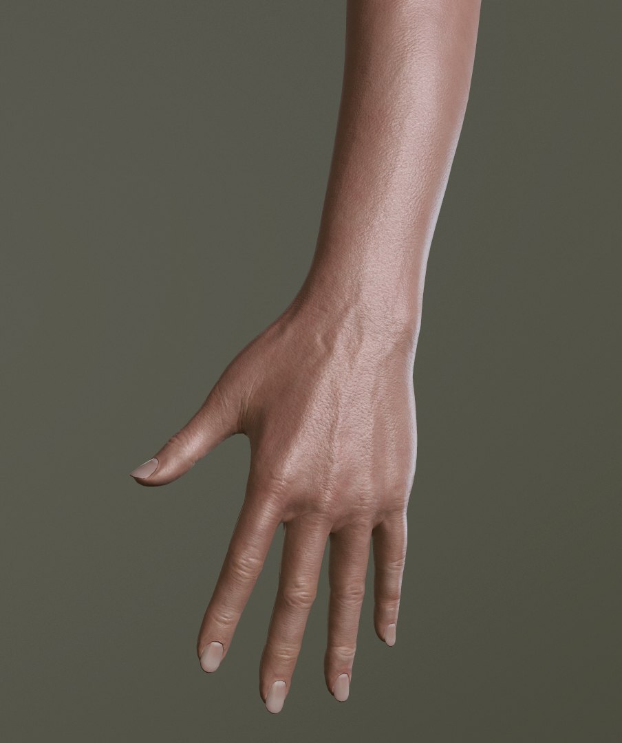 3D Female Hand Pbr Model - TurboSquid 1462887