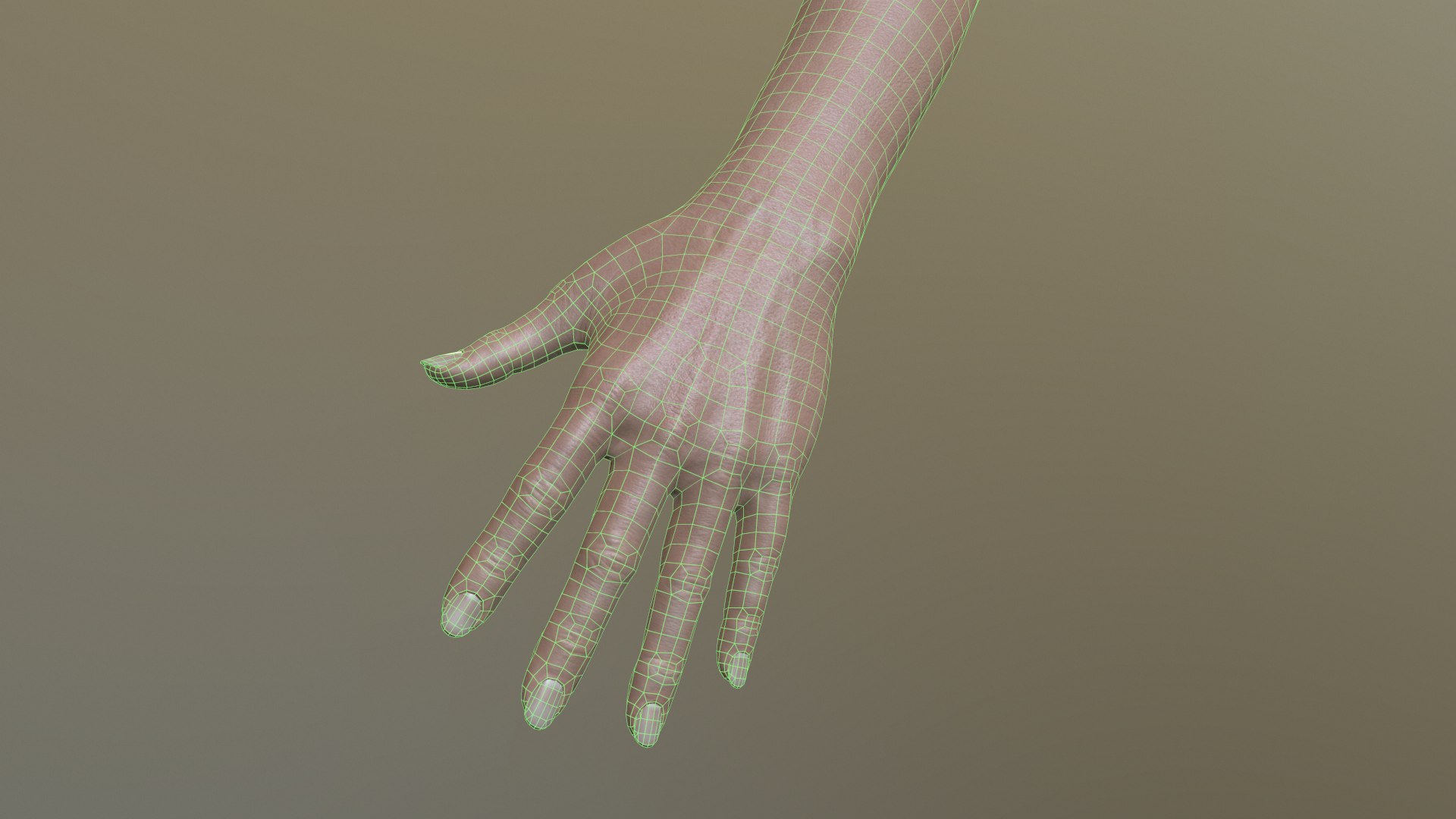 3D Female Hand Pbr Model - TurboSquid 1462887